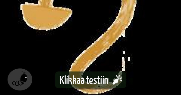 Testaa - Mitää... | Testimato