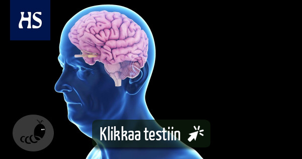 Testaa - Testi ennen koulun alkua | Testimato