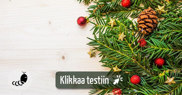 Testaa - Jouluvisa! | Testimato