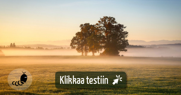 Testaa - Tiedätkö tunteen? | Testimato