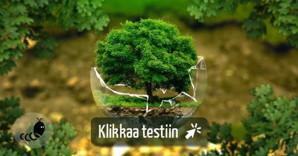 Testaa - My life-peli | Testimato