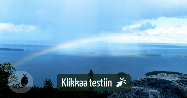 Testaa - Miten reagoisit jos... pt 2 | Testimato