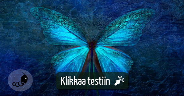 Testaa - This or That? | Testimato