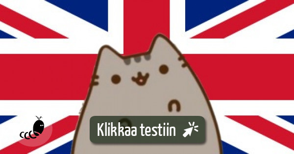 Testaa - The test in English 🙌🏻 | Testimato