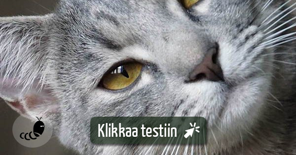 Testaa - Kuvia, jotka liittyvät testivelhoon... Hopeausva_sk! | Testimato