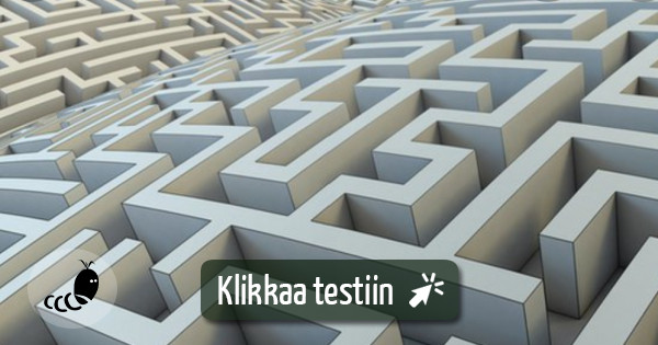 Testaa - Labyrintti | Testimato