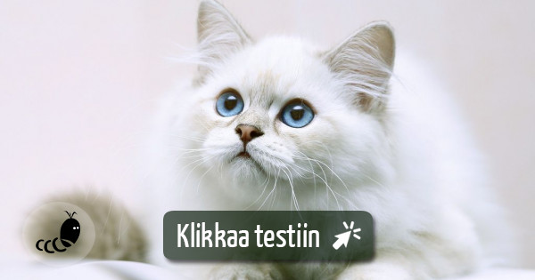 Testaa - - Mikä kissarotu olet? | Testimato