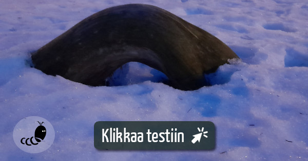 Testaa - Asiatesti | Testimato