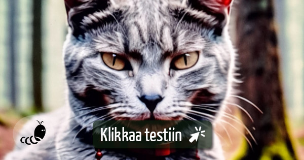 Testaa - Oletko oikea Soturikissat-fani?🧐 | Testimato