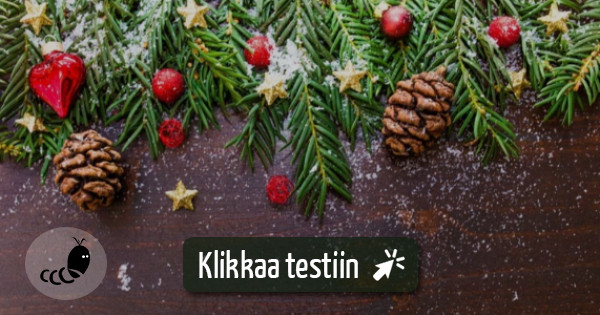 Testaa - Joulukalenterin luukku 18, jouluvisa ♥︎ | Testimato