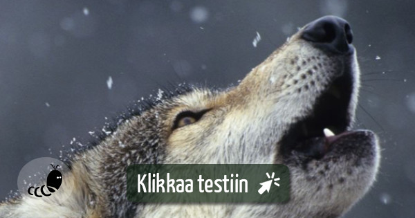 Testaa - Oletko therian | Testimato